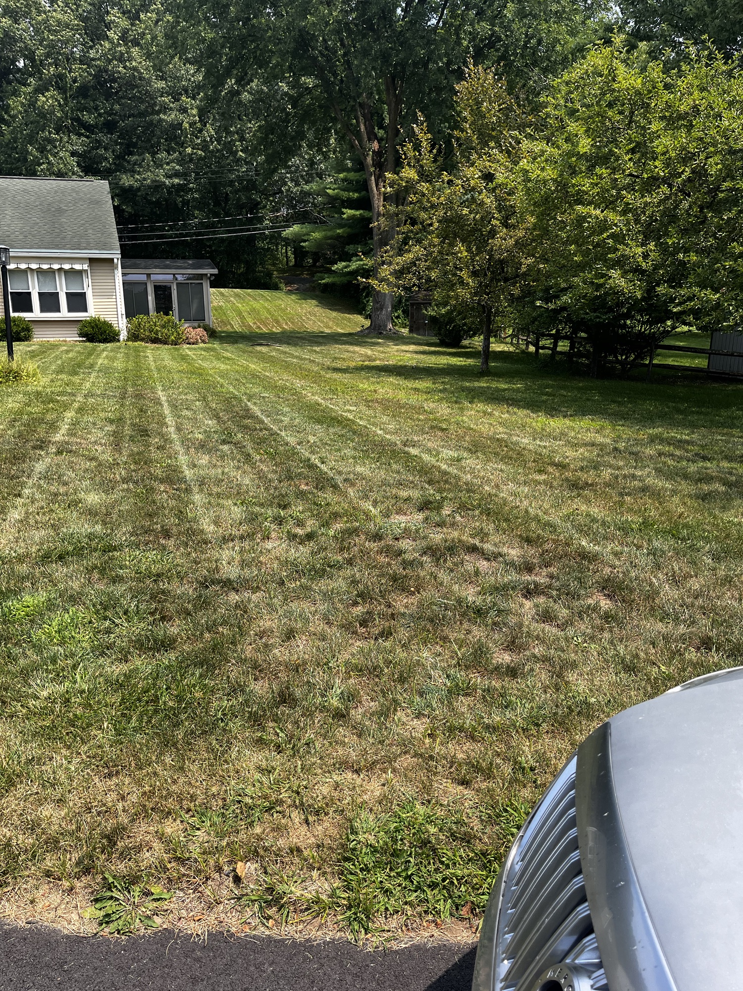 Nate’s Mow n Grow